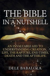 Review: The Bible in a Nutshell by Dele Babalola | Self-Publishing Review