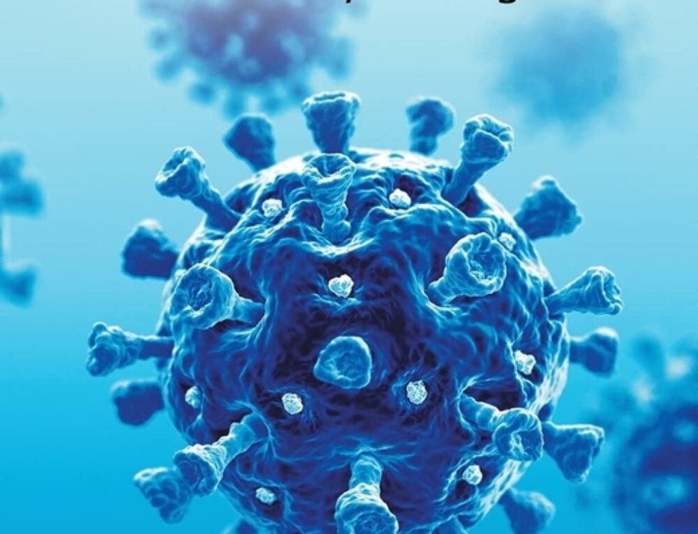 Review: In the Shadow of St. Anthony by Andrew Hernon ★★★★ | Self ...