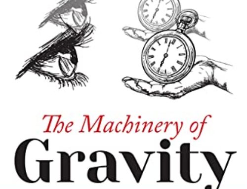 Review: In the Shadow of St. Anthony by Andrew Hernon ★★★★ | Self ...