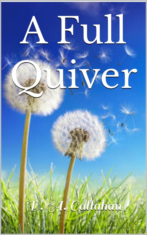 A Full Quiver by D.A. Callahan | Self-Publishing Review