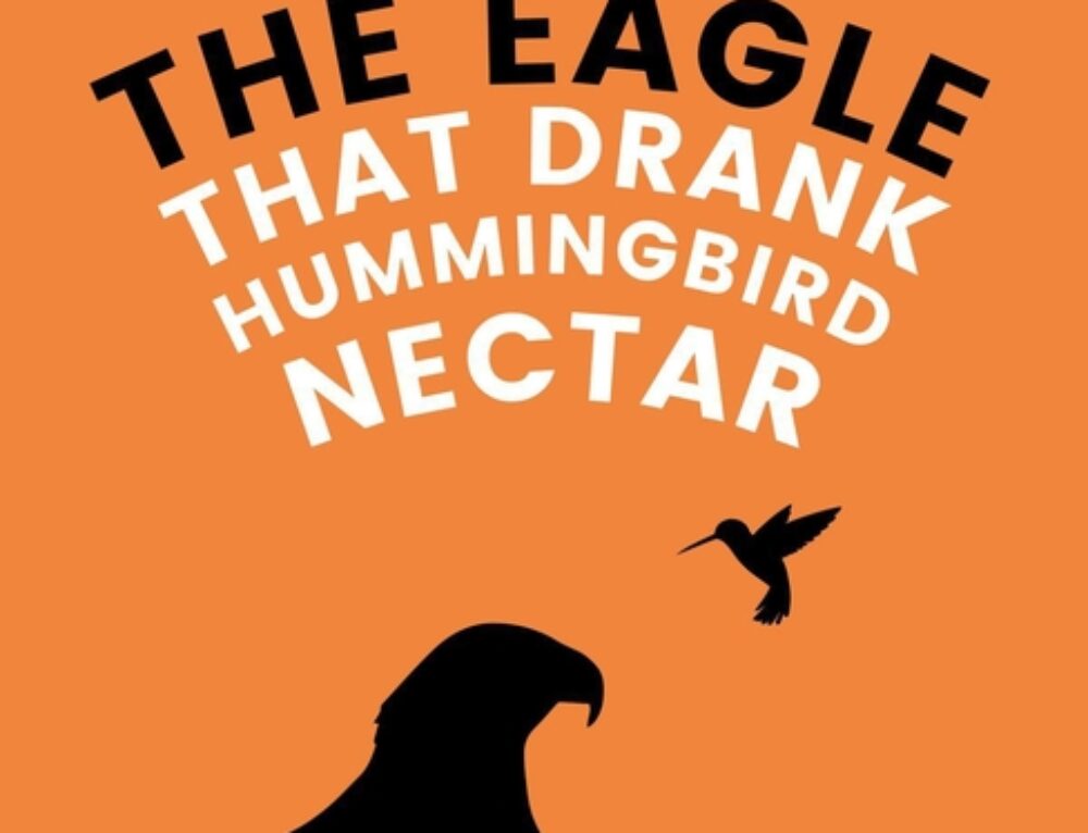 Best WordPress Themes for Writers & Publishers | Self-Publishing Review