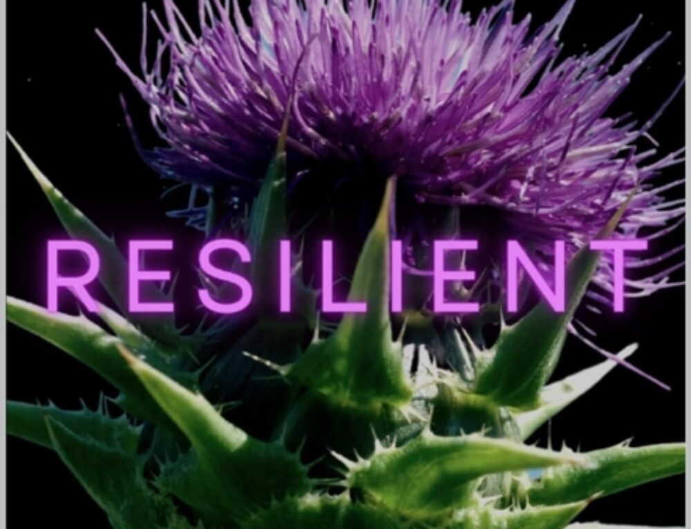 Review: Beyond Sunlight by David Crane | Self-Publishing Review