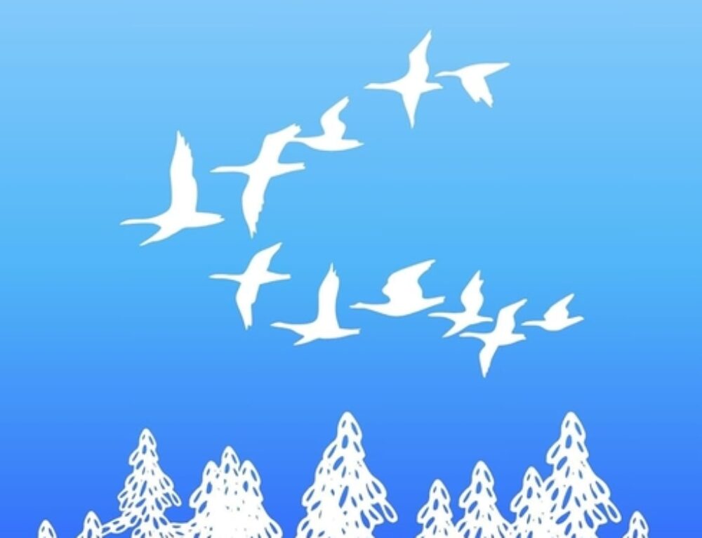 Review: Before the Dawn by David Crane | Self-Publishing Review